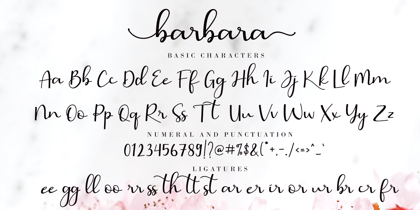 Barbara Calligraphy Regular Font XFonts pro